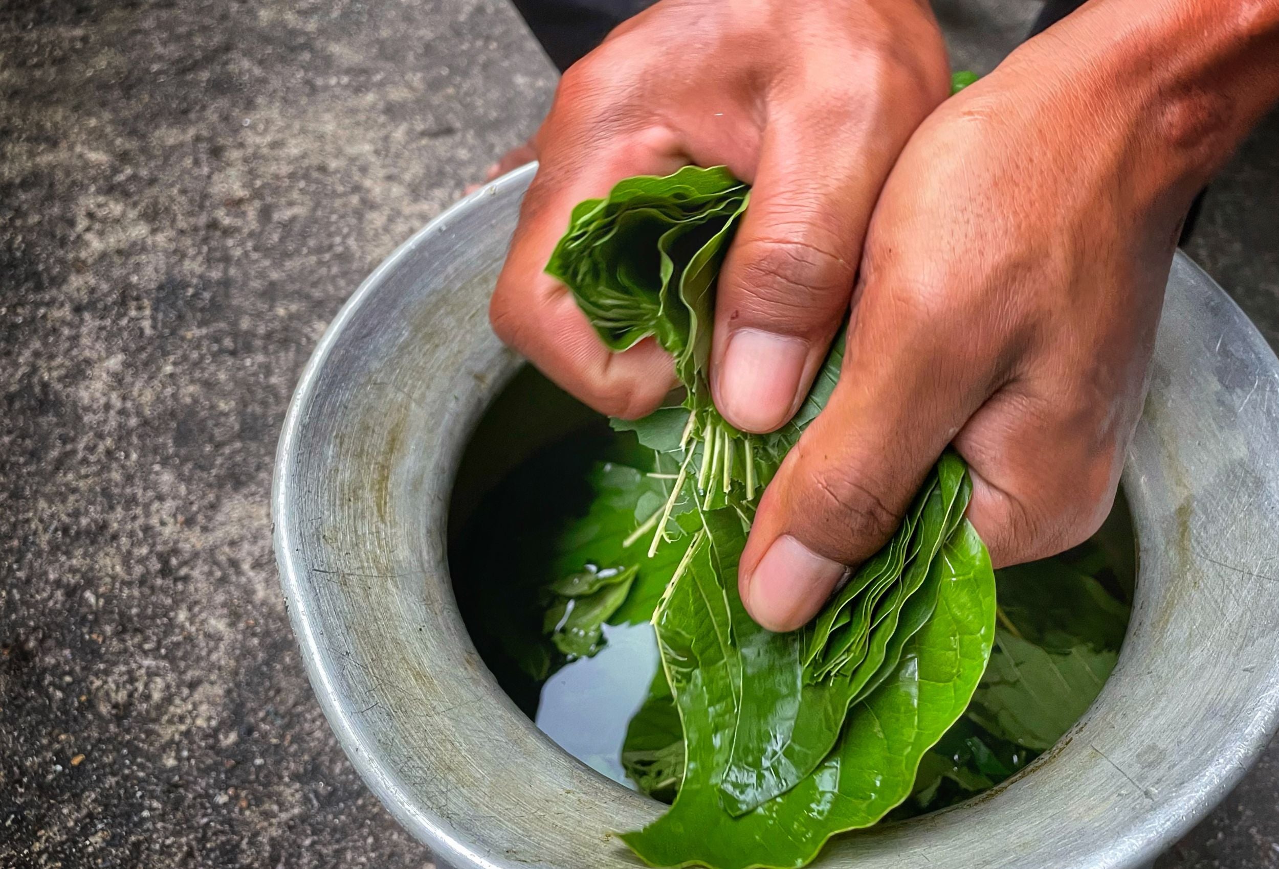 Kratom Food Recipes: Easy and Healthy Cooking with Kratom – Kratom Country