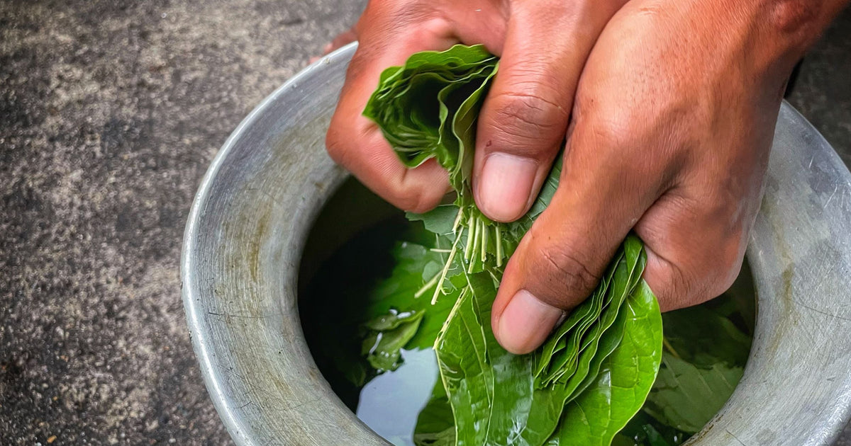 Kratom Skin Benefits: Is It Good For You? | Kratom Country