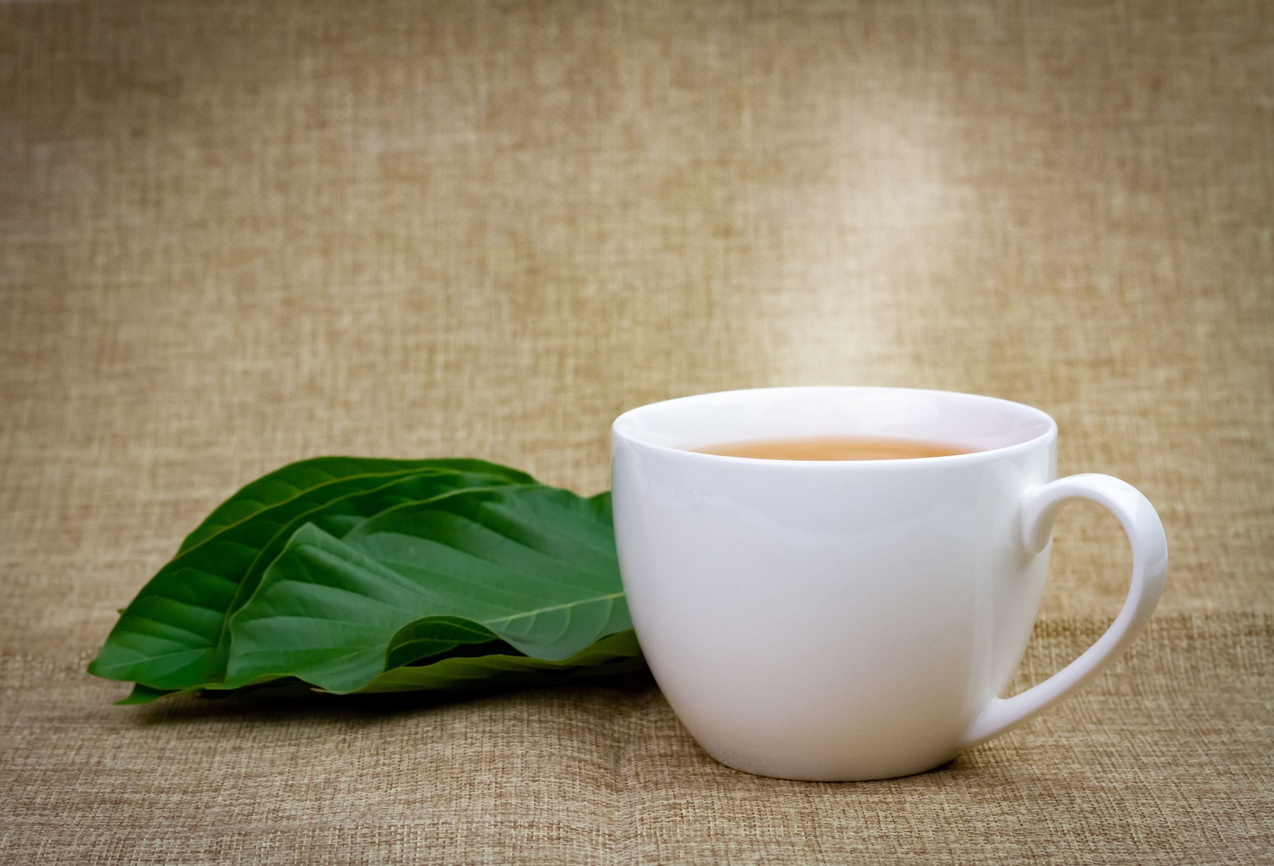 Kratom & Coffee: Similarities, Differences, & If It’s Safe to Mix ...